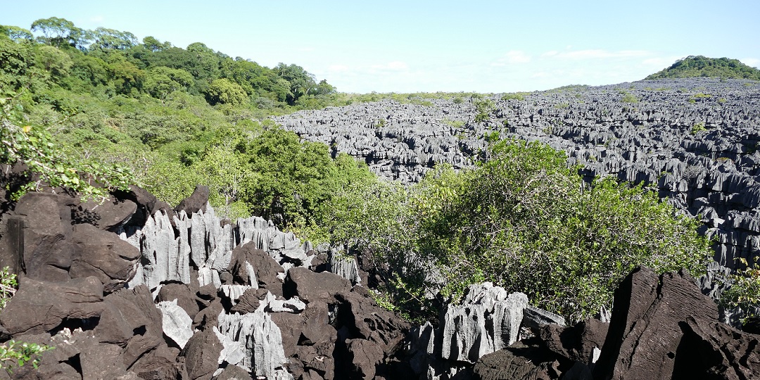 Le Parc National de l'Ankarana - Univet Nature