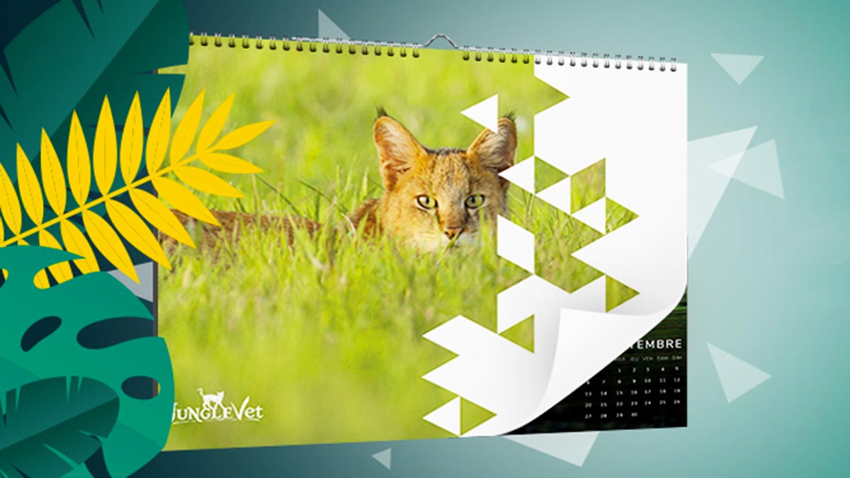 En 2021, donnons du temps à la nature ! Commandez notre calendrier 2021 ...