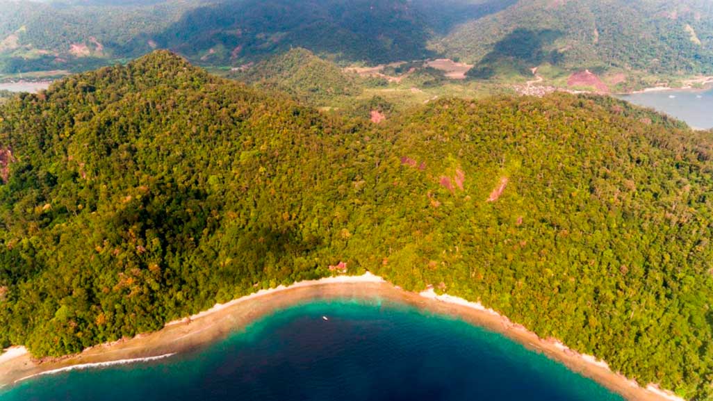 L’Art au service de la Nature au cœur de Sumatra - Univet Nature